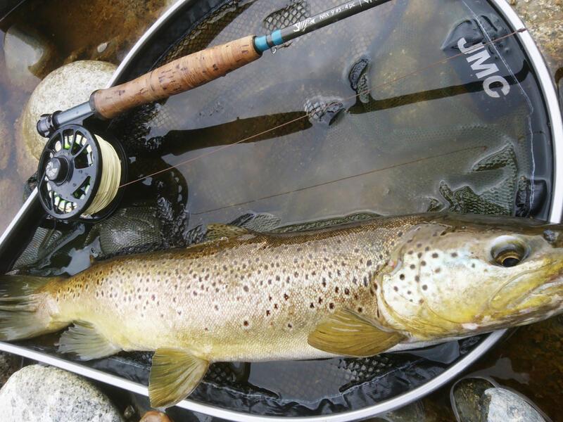 Trout & Co : The flyfishing online magazine