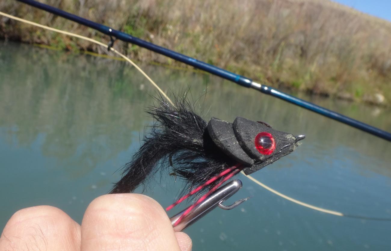 The Magic Fly | Trout & Co