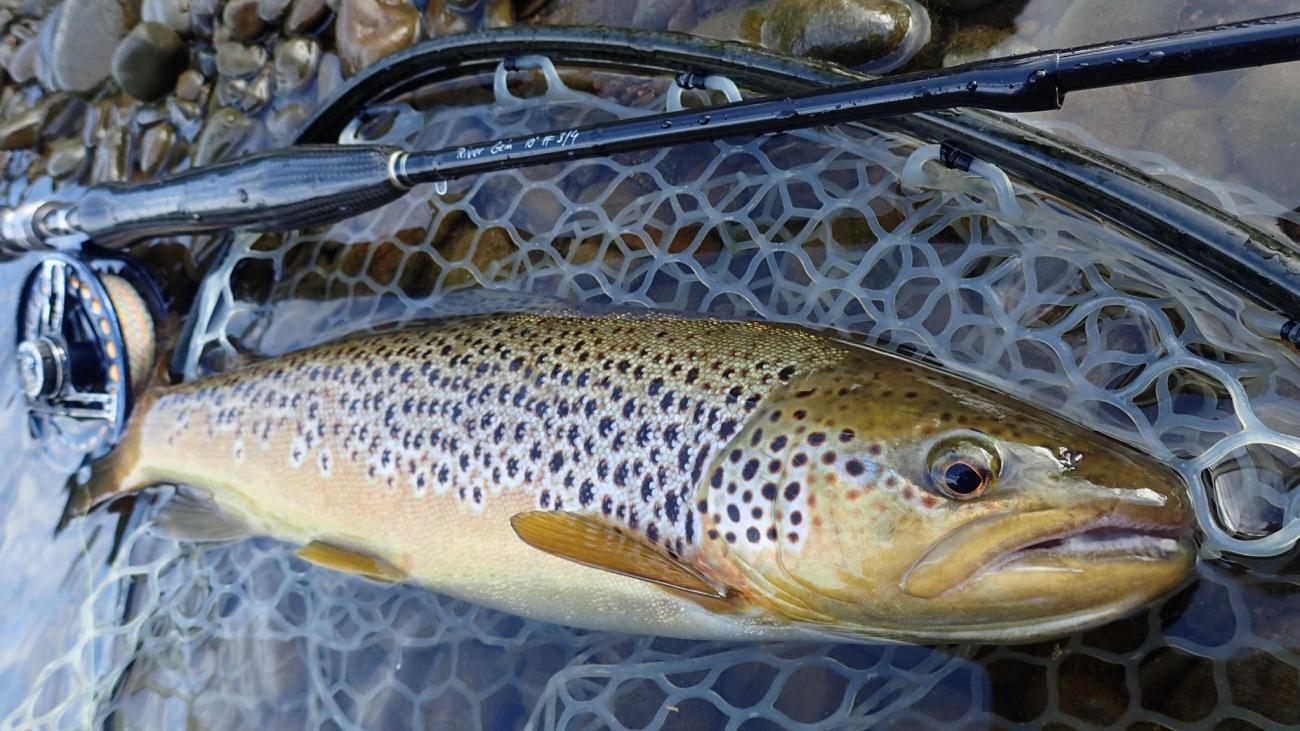 Fly fishing in Scotland : an easily accessed scenery | Trout & Co