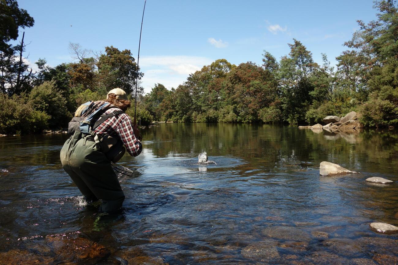 How to build a Euro Nymphing leader | Trout & Co