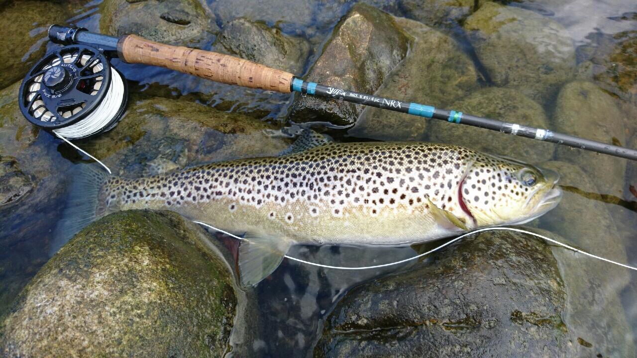 Fly fishing gear to catch large trout | Trout & Co