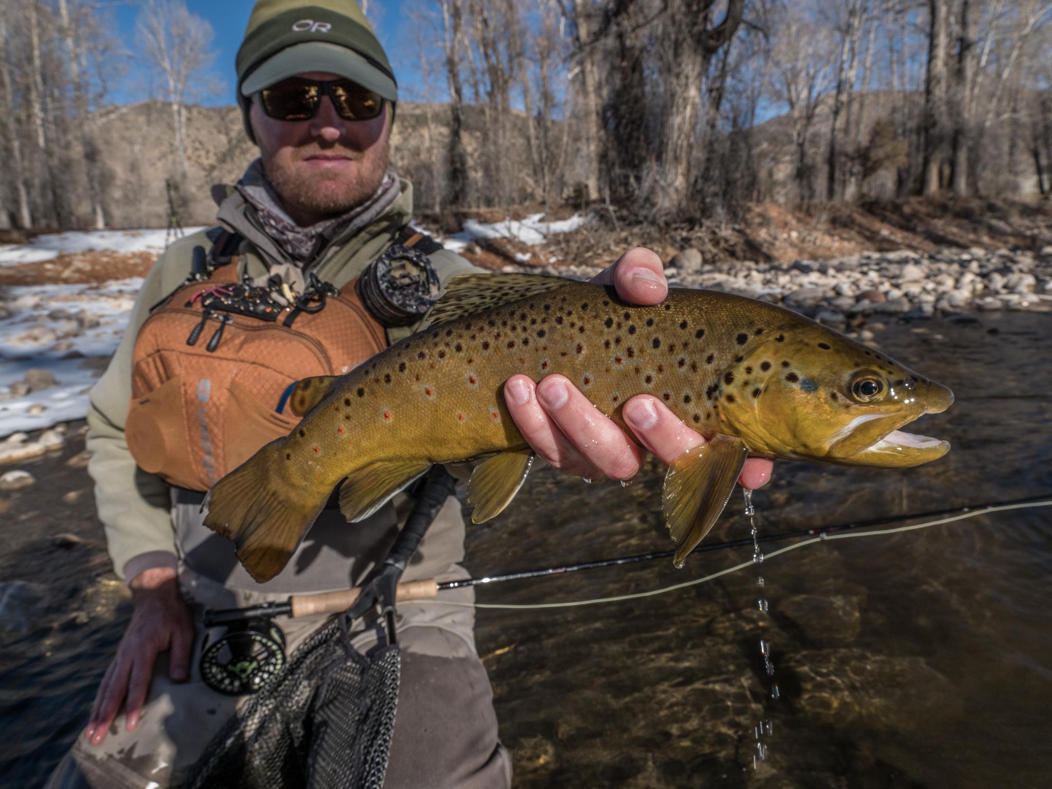 Lance Egan, competition brought to passion | Trout & Co