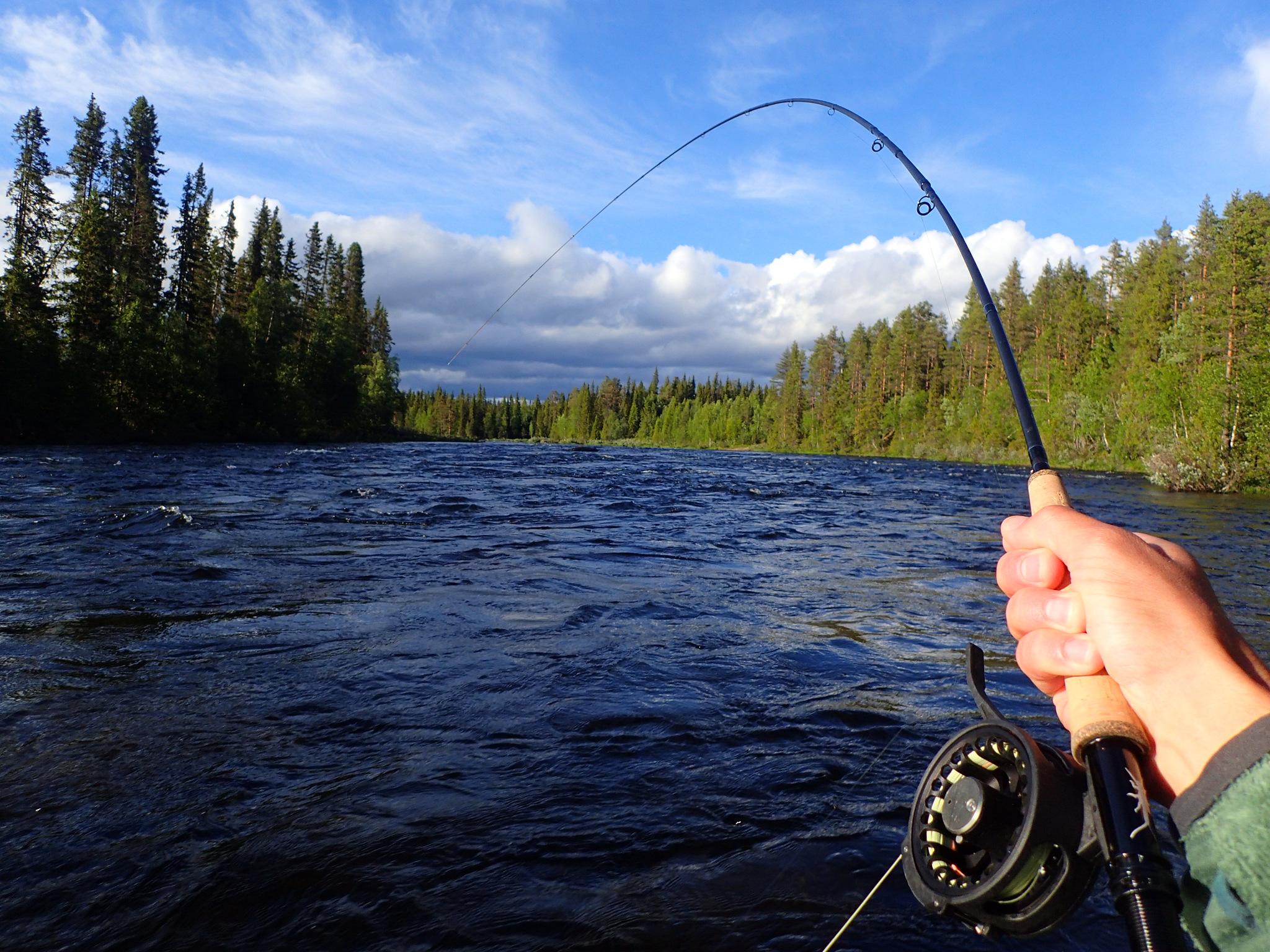 Review : Echo Shadow II 10' 2wt fly rod | Trout & Co