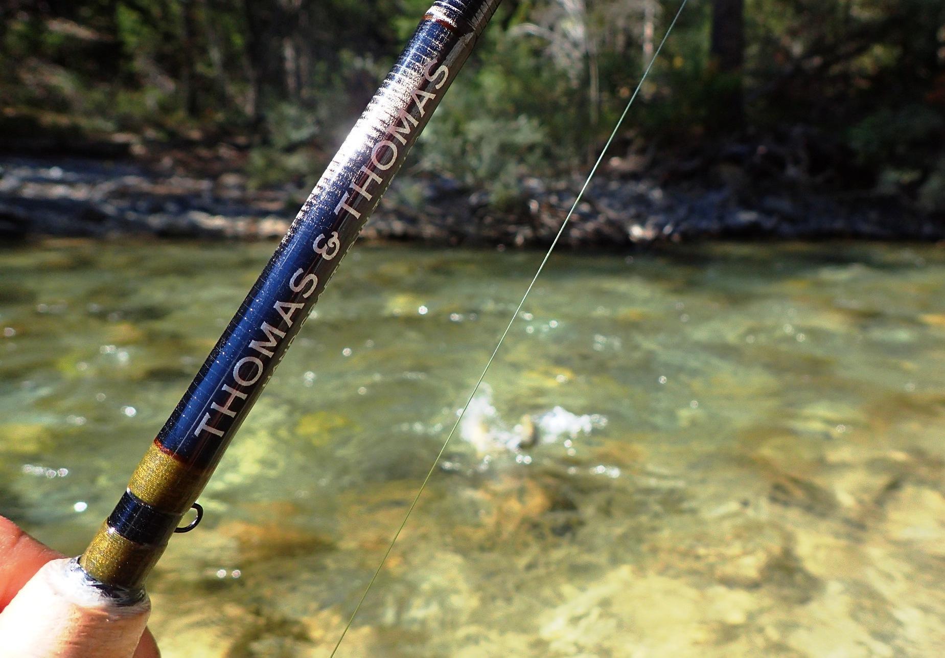 Review : Thomas & Thomas Contact 10'2 2wt fly rod | Trout & Co