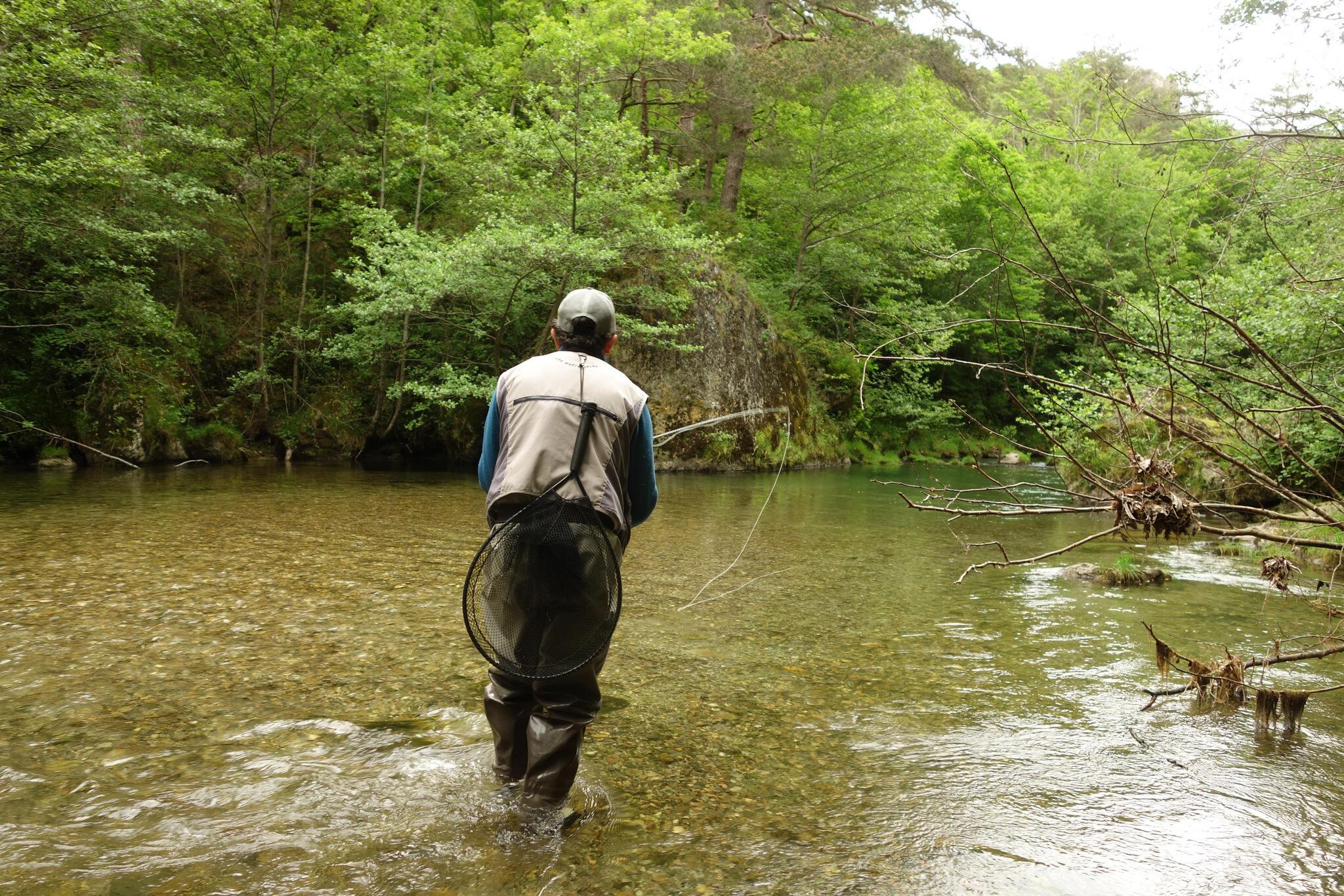 How to choose a Euro Nymphing rod ? | Trout & Co