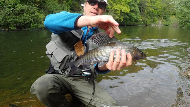 Fly fishing in Scotland : an easily accessed scenery | Trout & Co