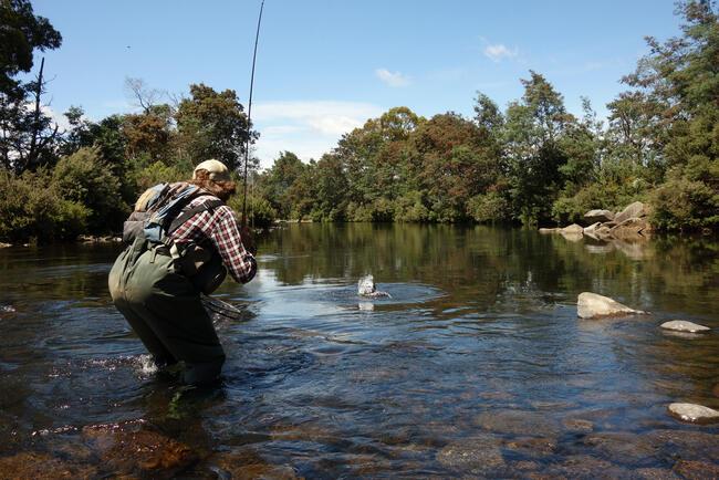 How to build a Euro Nymphing leader | Trout & Co