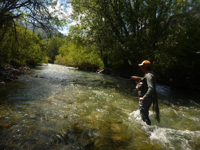 How to build a Euro Nymphing leader | Trout & Co